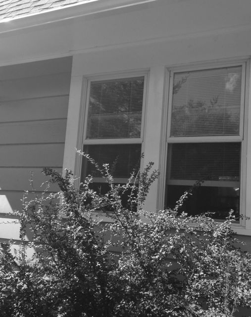 Stacey Loscalzo - The Dining Room Window